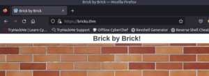 TryHackMe | TryHack3M: Bricks Heist | Write-Up – Michael Weber's Blog