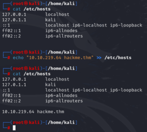 TryHackMe | TryHack3M: Subscribe | Write-Up – Michael Weber's Blog